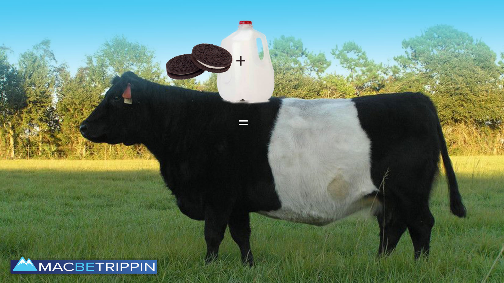 Oreo Cows and Milk – #macbetrippin